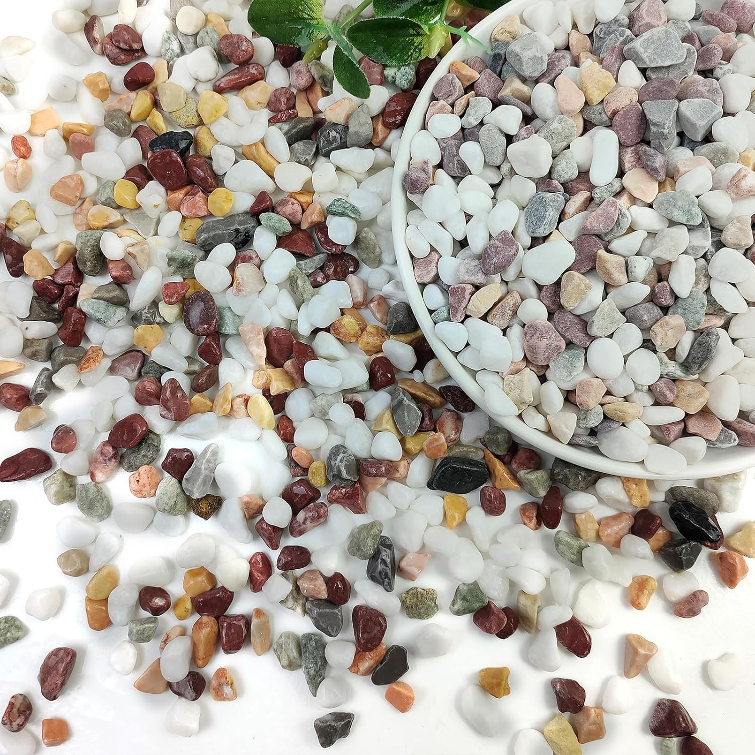 Mixed Color Pebbles for Plants – SHIZWU